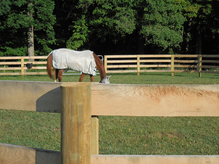 Gallery - The Mainline Fence & Supply Corp