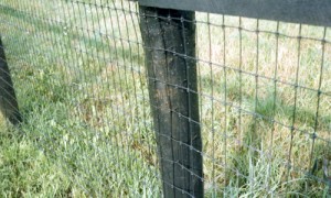 Fence Installation - The Mainline Fence & Supply Corp